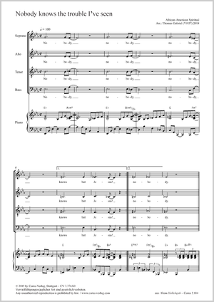 Nobody knows the trouble I’ve seen - Noten